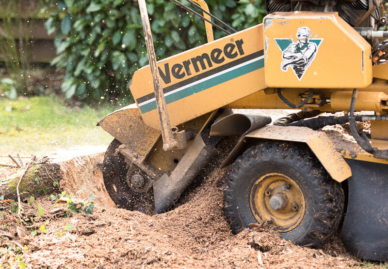 Expert Hacks To Buy Aftermarket Bobcat Stump Grinder Teeth